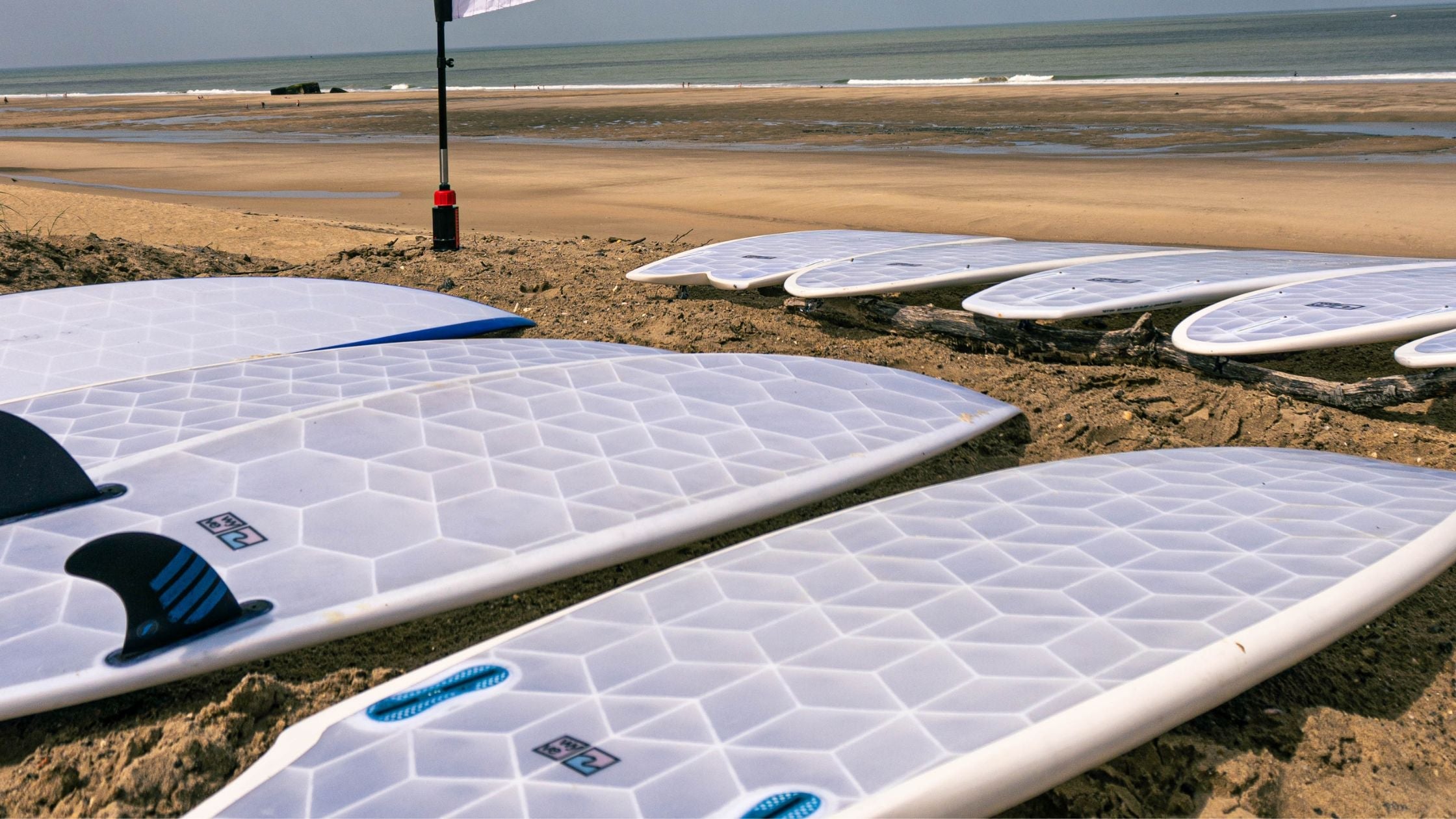 Surf All Year: WYVE's 1 Board Solution